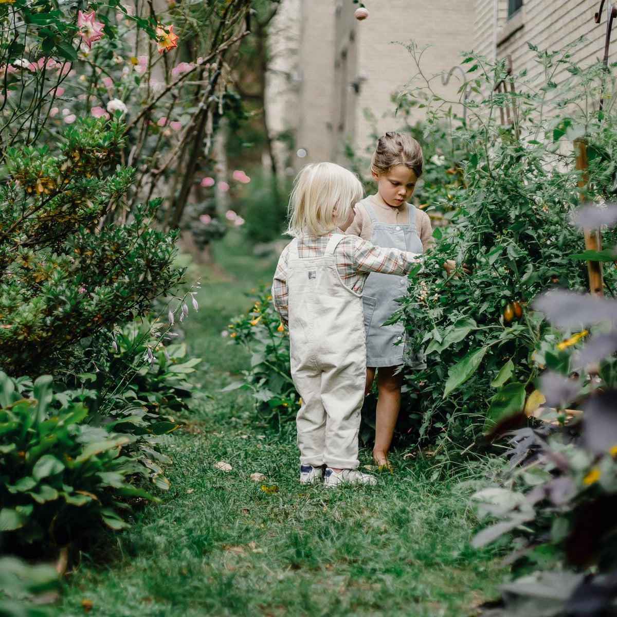Easy Backyard Cash Crops – Shed Windows and More, Inc.