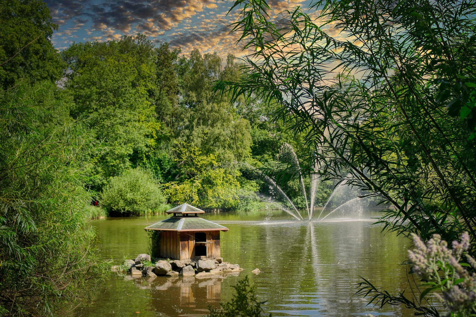 9 Wonderful Backyard Water Features | Shed Windows and More for DIY ...